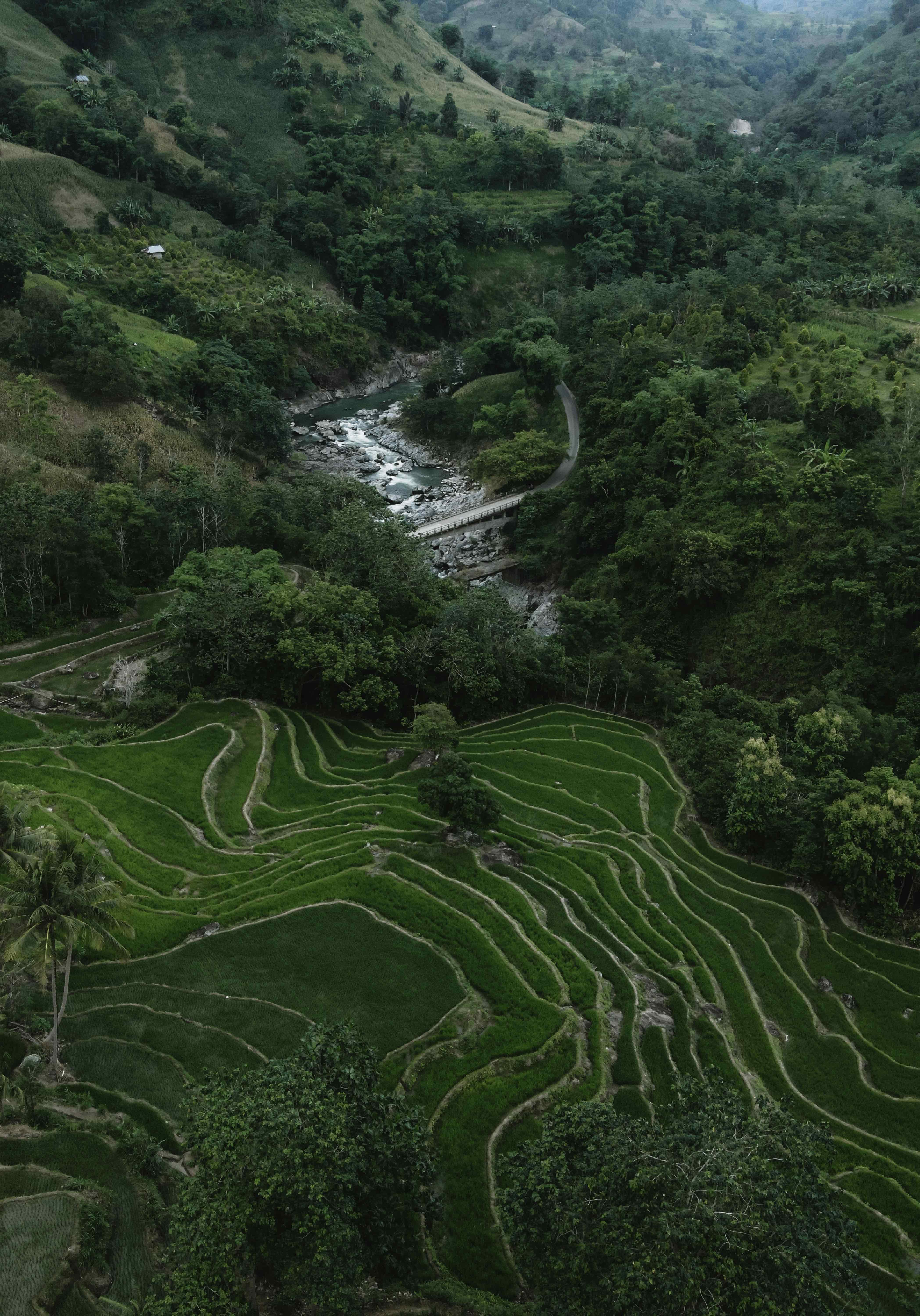 tombo.earth
